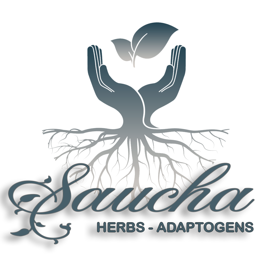 Tienda Saucha